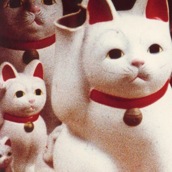 nathan mai - for all hues